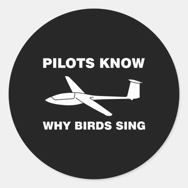 Gliding Soaring Pilot Glider Sailplane Birds Classic Round Sticker | Zazzle