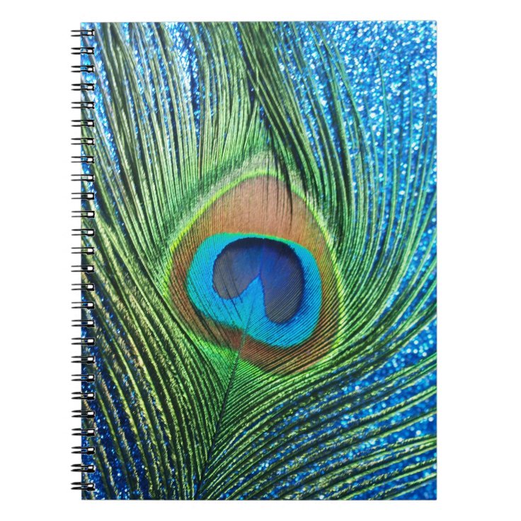 Glittery Blue Peacock Feather Still Life Notebook | Zazzle