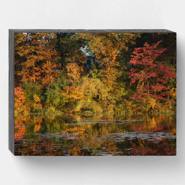 Glorious Fall on the River Wooden Box Sign | Zazzle