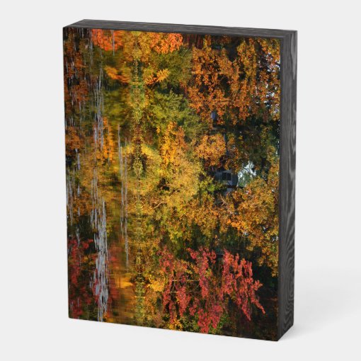 Glorious Fall on the River Wooden Box Sign | Zazzle