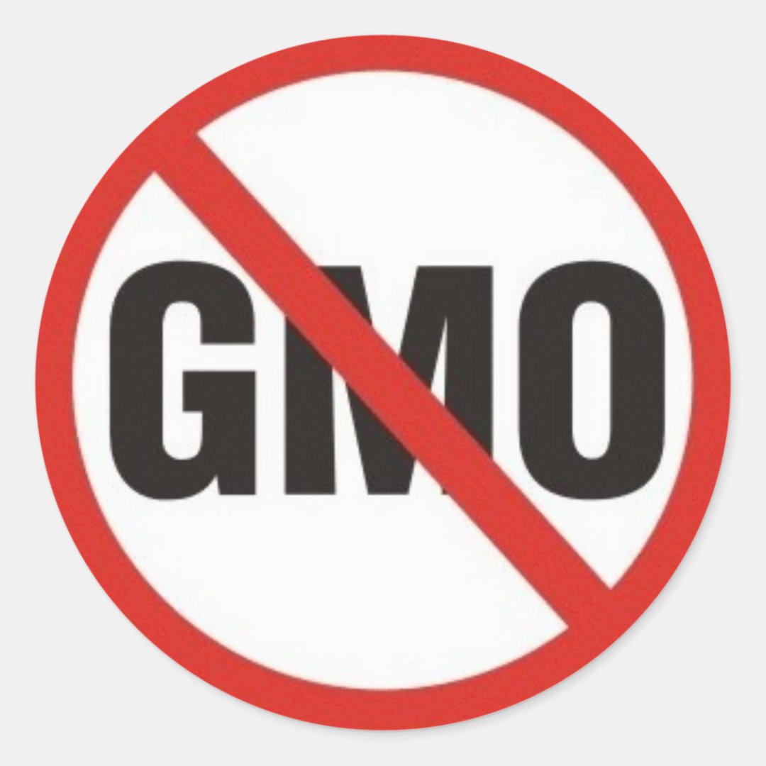 GMO Free Classic Round Sticker | Zazzle