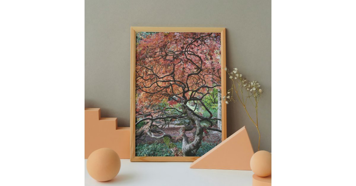Gnarly Twisted Japanese Maple Tree Poster | Zazzle
