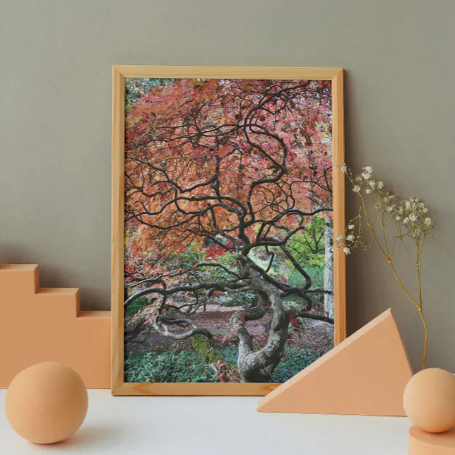Gnarly Twisted Japanese Maple Tree Poster | Zazzle