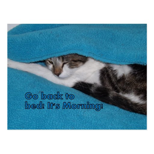 go back to bed CARD | Zazzle