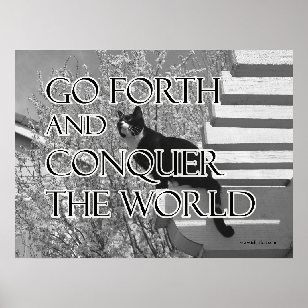 Go Forth and Conquer Motivational Cat Poster | Zazzle