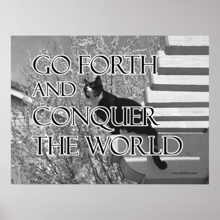 Go Forth and Conquer Motivational Cat Poster | Zazzle.com