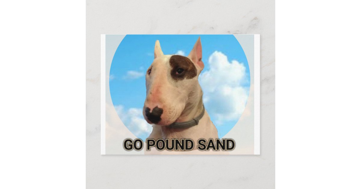 Go pound sand postcard | Zazzle