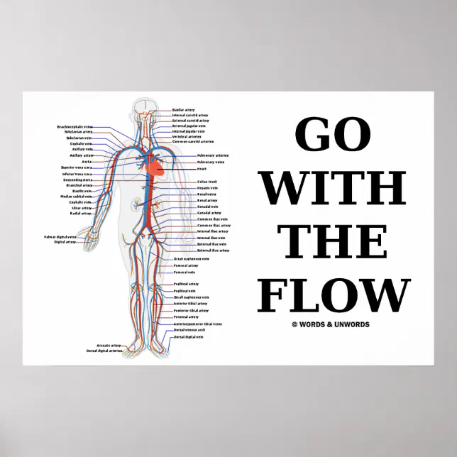 Go With The Flow (Circulatory System) Poster | Zazzle
