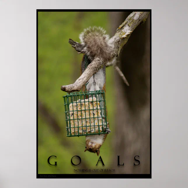 GOALS Inspirational Funny Squirrel Poster Print | Zazzle