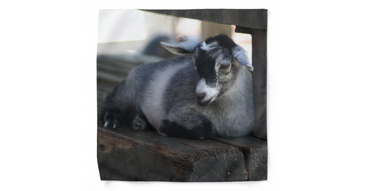 Goat Bandana | Zazzle