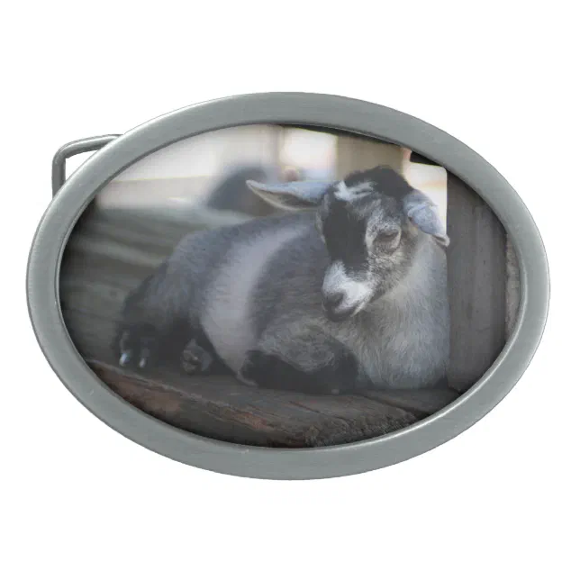 Goat Belt Buckle | Zazzle