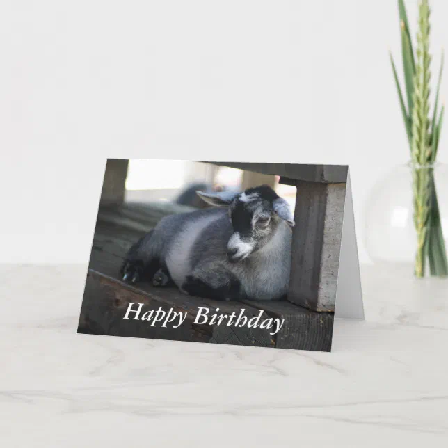 Goat Birthday Card | Zazzle