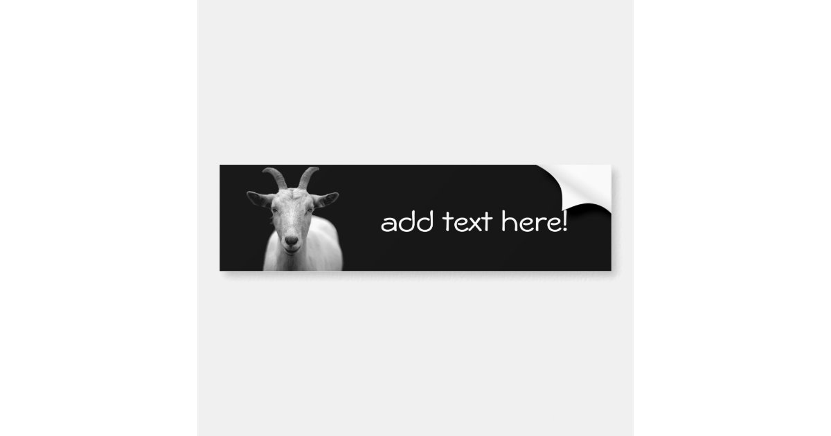 Goat Bumper Sticker | Zazzle