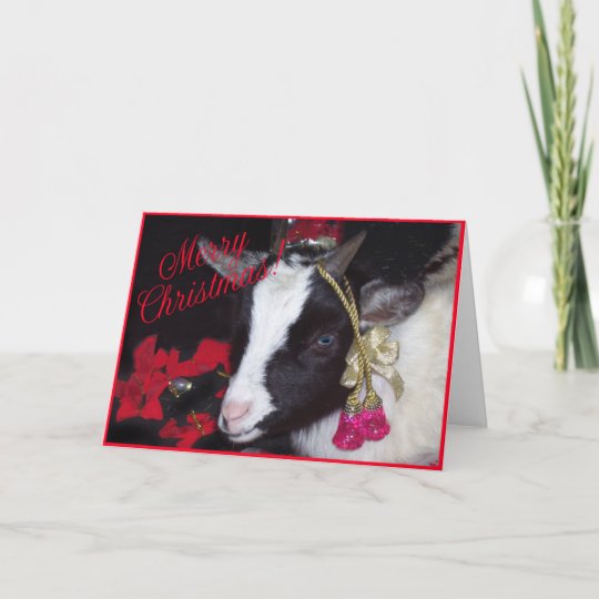 Goat Christmas Card Rufus | Zazzle.com