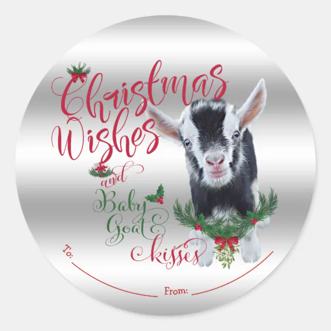 GOAT | Christmas Wishes Baby Goat Kisses Nigerian Classic Round Sticker ...