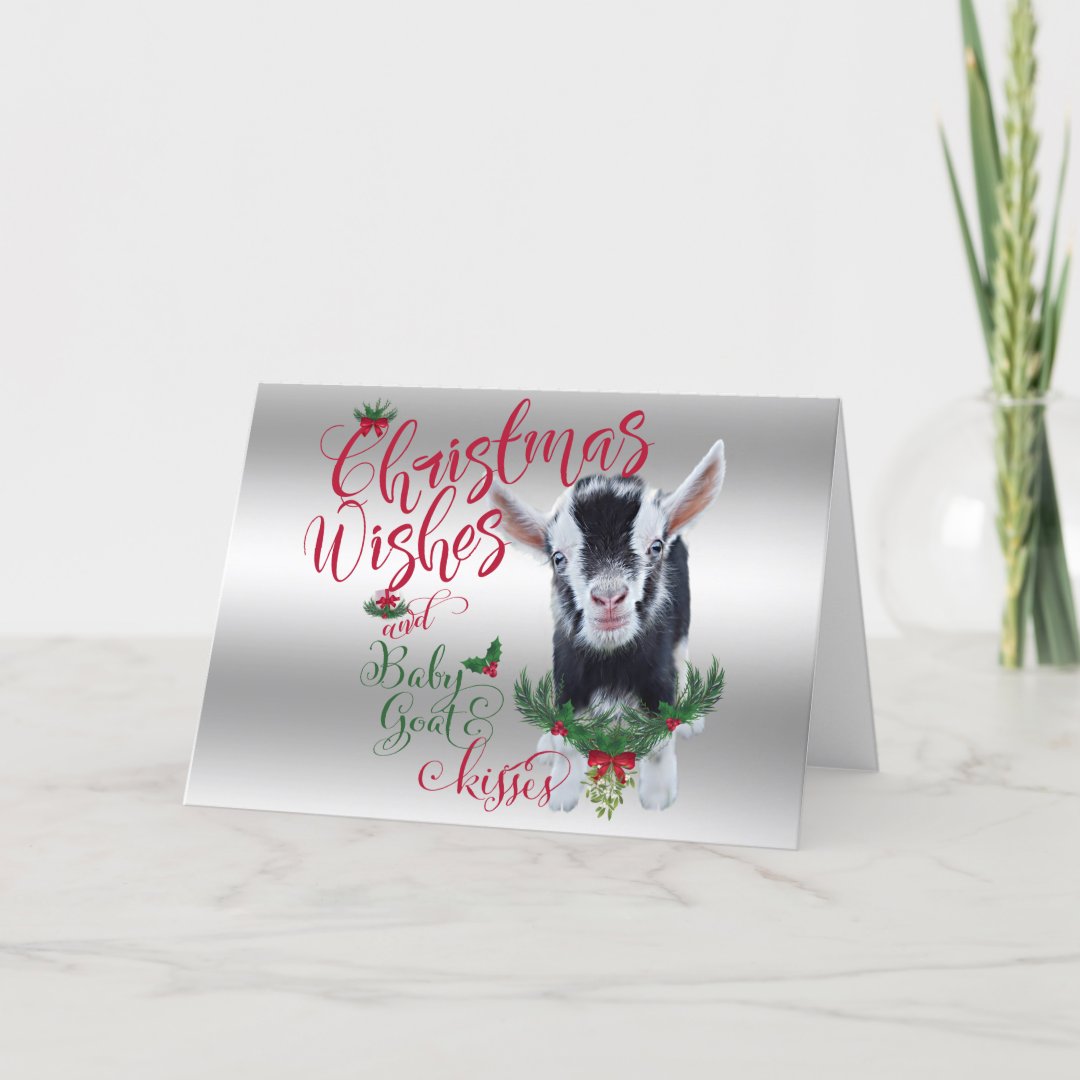 GOAT | Christmas Wishes Baby Goat Kisses Nigerian Holiday Card | Zazzle