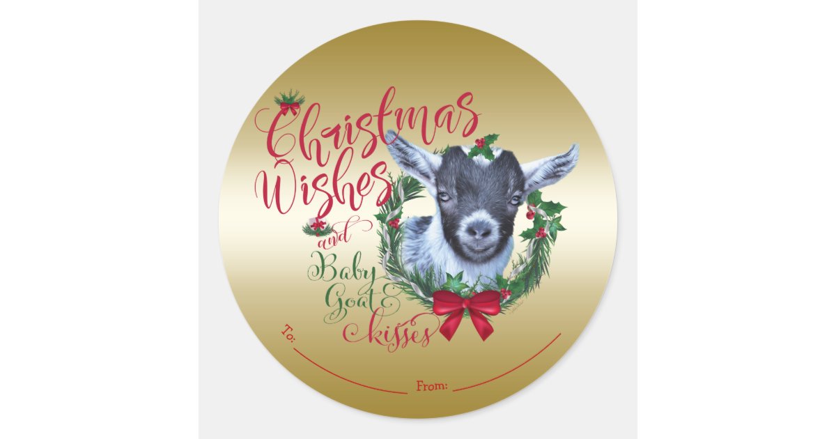 GOAT | Christmas Wishes Baby Goat Kisses Pygmy Classic Round Sticker ...