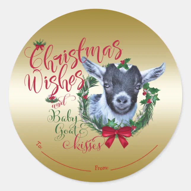 GOAT | Christmas Wishes Baby Goat Kisses Pygmy Classic Round Sticker ...