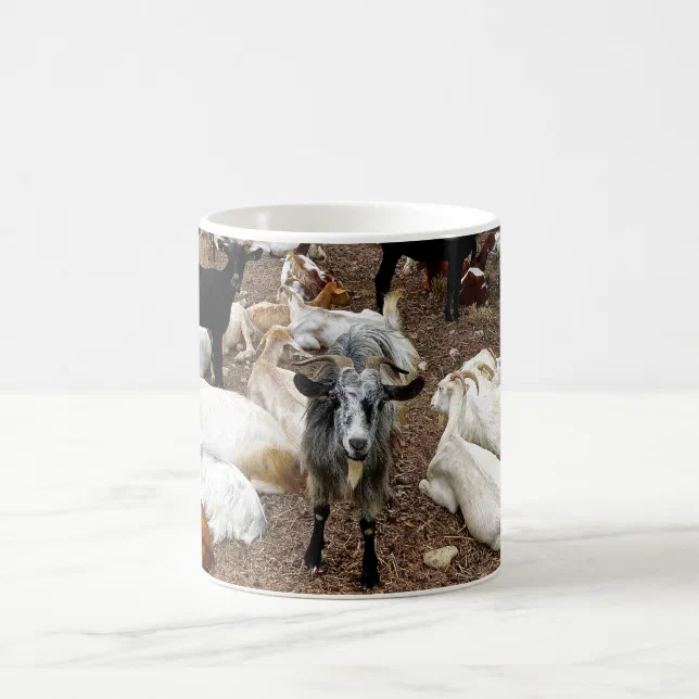 Goat, Coffee Mug | Zazzle