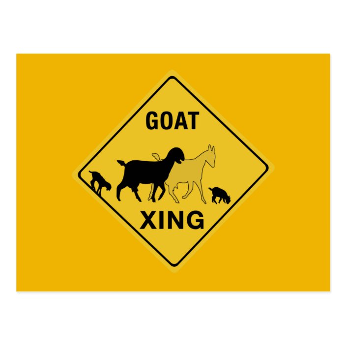 Goat Crossing, Traffic Warning Sign, Indiana, USA Postcard | Zazzle.com
