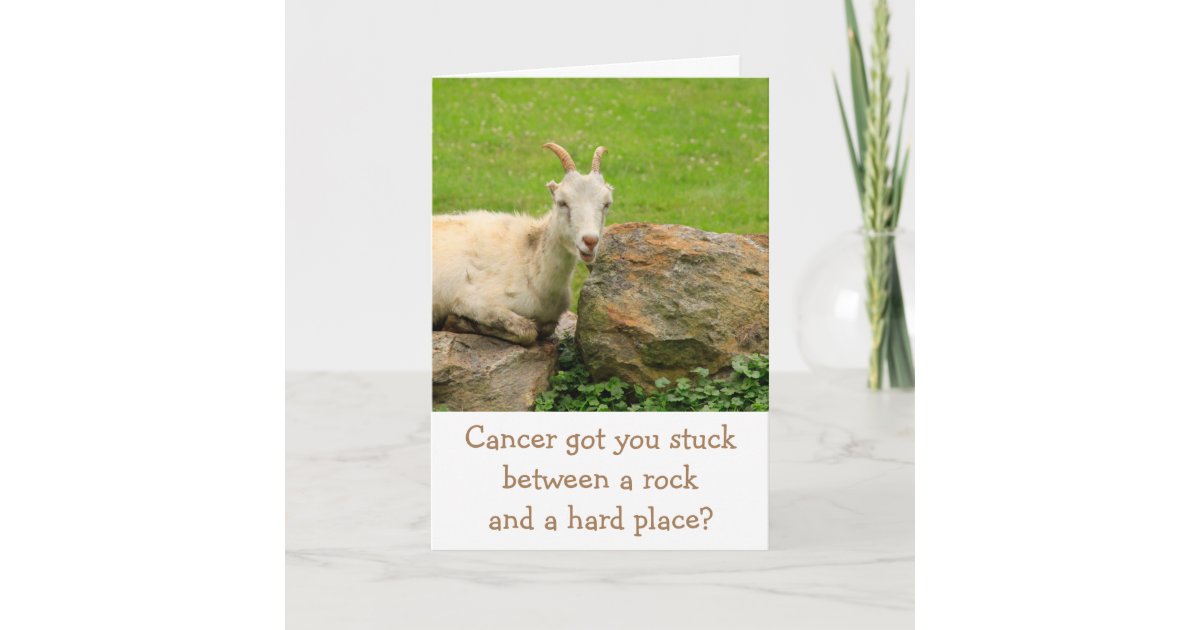 Goat Encouragement Cancer Support Card | Zazzle