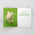 Goat Encouragement Cancer Support Card | Zazzle