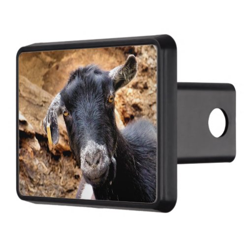 GOAT HITCH COVER | Zazzle