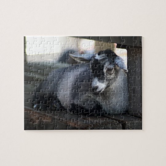 Goat Jigsaw Puzzle | Zazzle.com