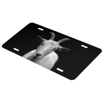 Goat License Plate | Zazzle