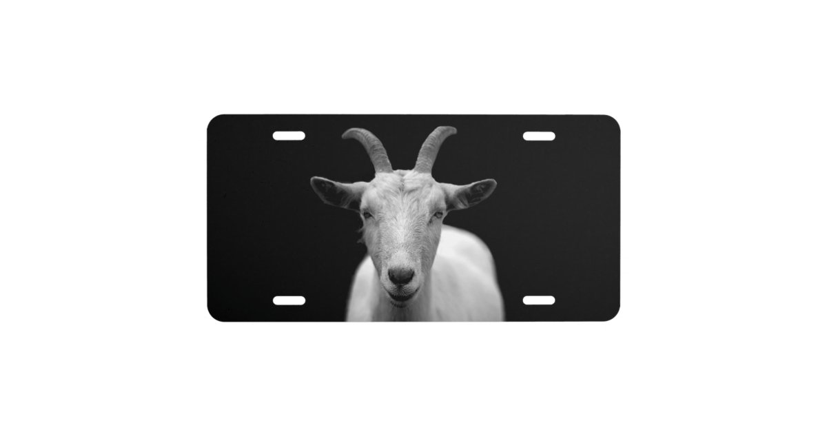 Goat License Plate | Zazzle