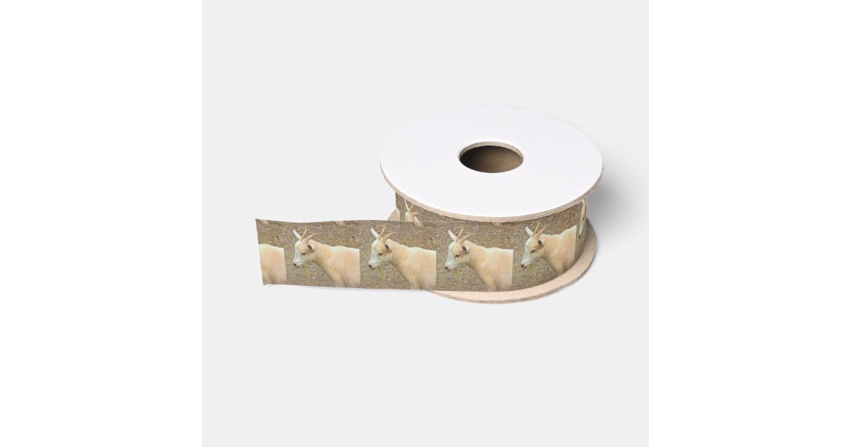 Goat Photo Ribbon | Zazzle