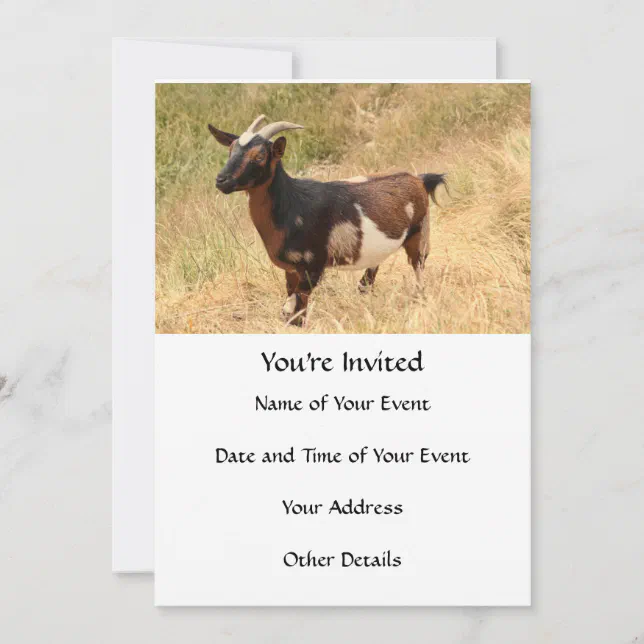 Goat Picture Invitation | Zazzle