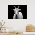 Goat Poster | Zazzle