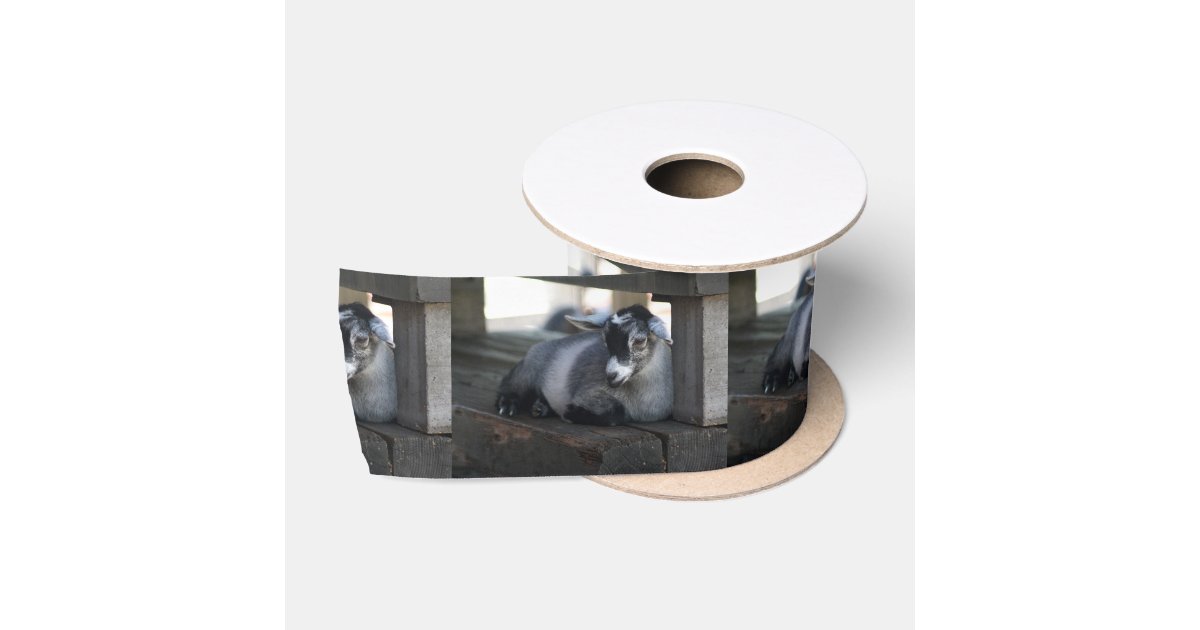 Goat Satin Ribbon | Zazzle