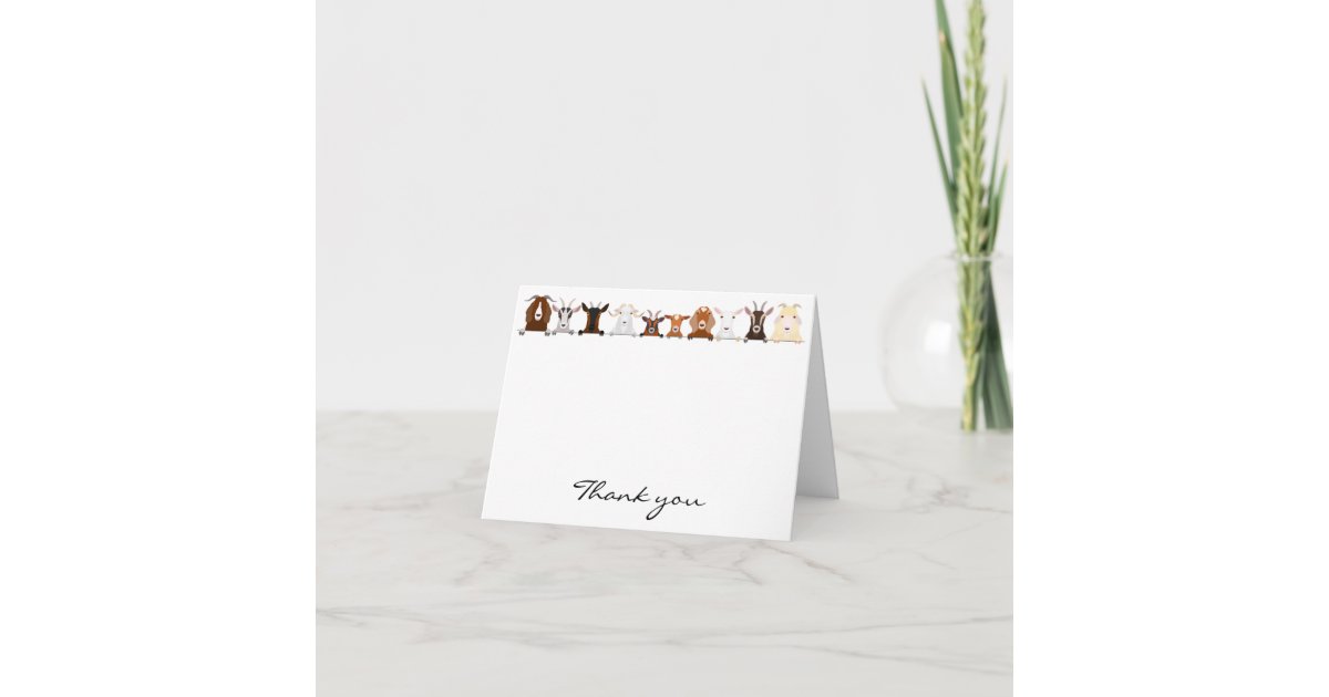 Goat Thank You cards | Zazzle