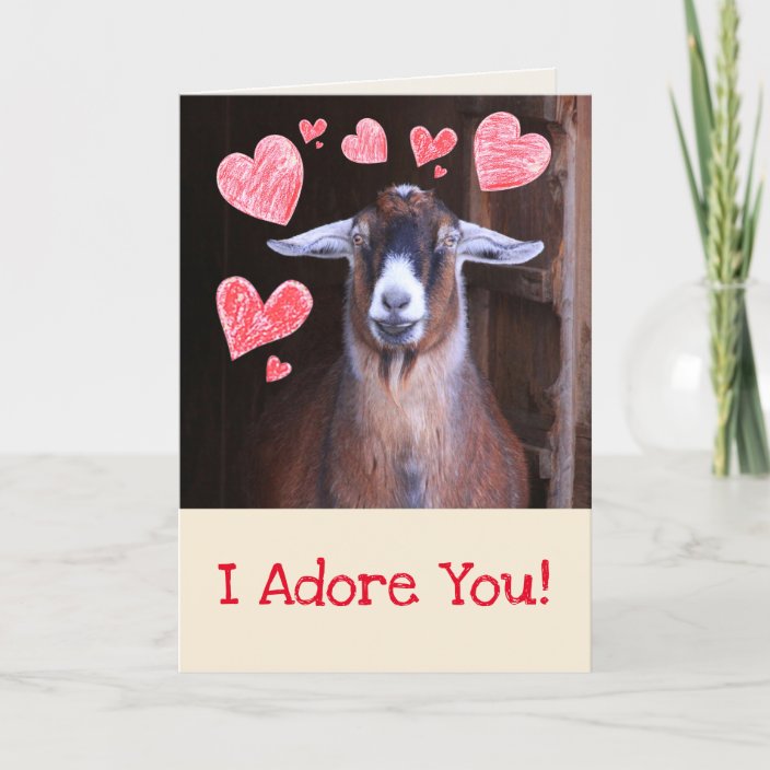 Goat With A Crush Valentine's Day Holiday Card | Zazzle.com