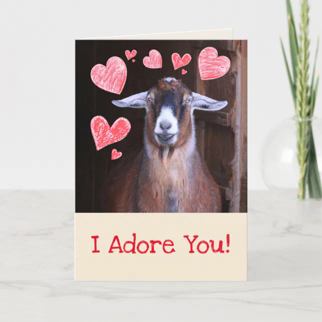 Goat With A Crush Valentine's Day Holiday Card | Zazzle