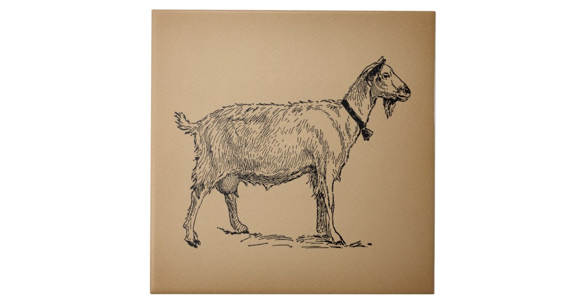 Goat with Bell Illustration Antique Aged Brown Ceramic Tile | Zazzle