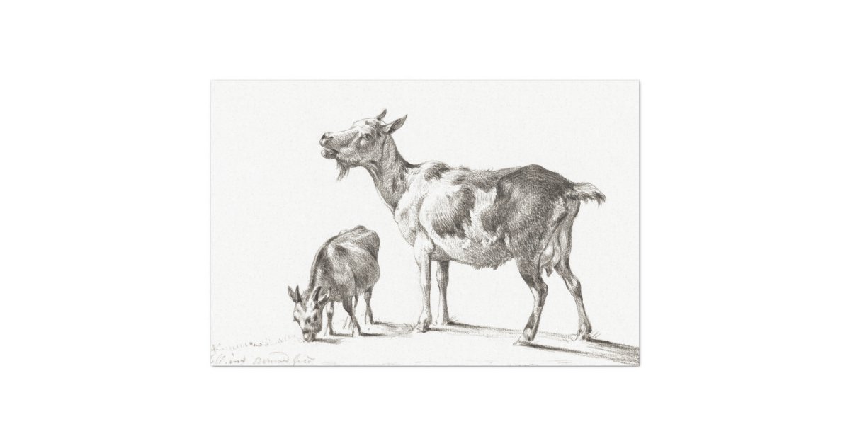 Goats Ephemera Decoupage Vintage Farm Tissue Paper | Zazzle
