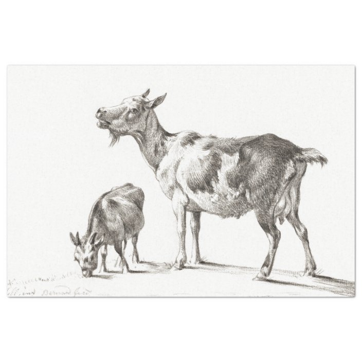 Goats Ephemera Decoupage Vintage Farm Tissue Paper | Zazzle.com