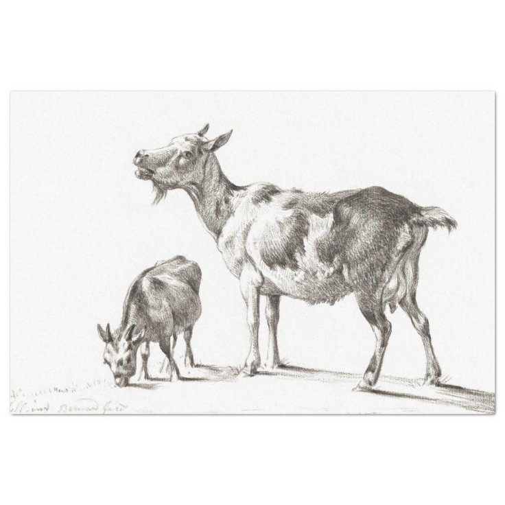 Goats Ephemera Decoupage Vintage Farm Tissue Paper | Zazzle
