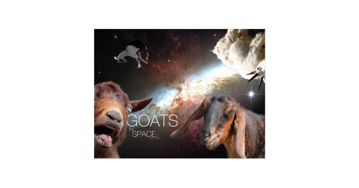 Goats.In.Space Postcard | Zazzle.com