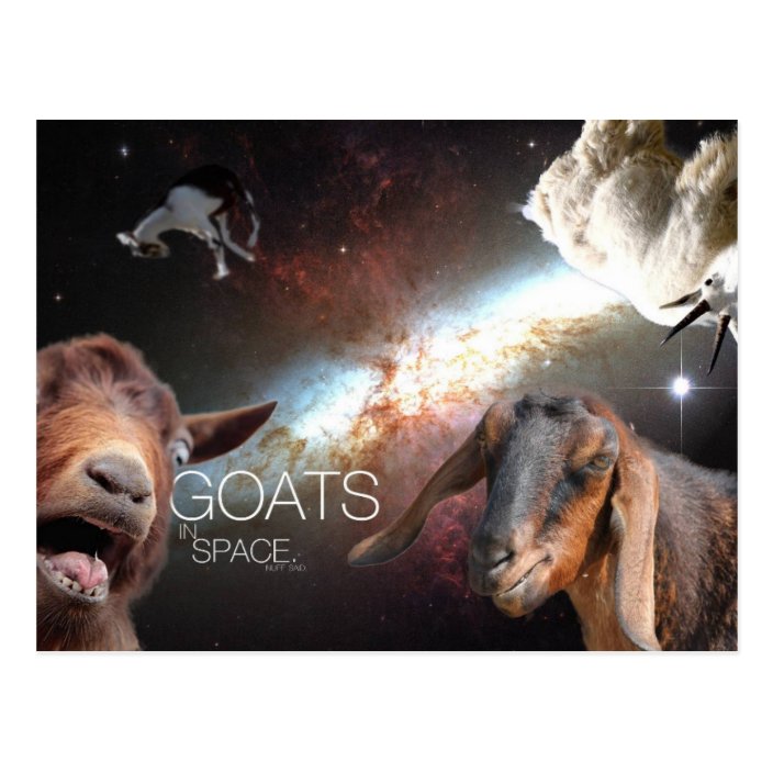 Goats.In.Space Postcard | Zazzle.com