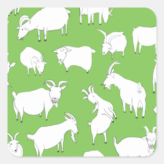 Goats playing - green square sticker | Zazzle