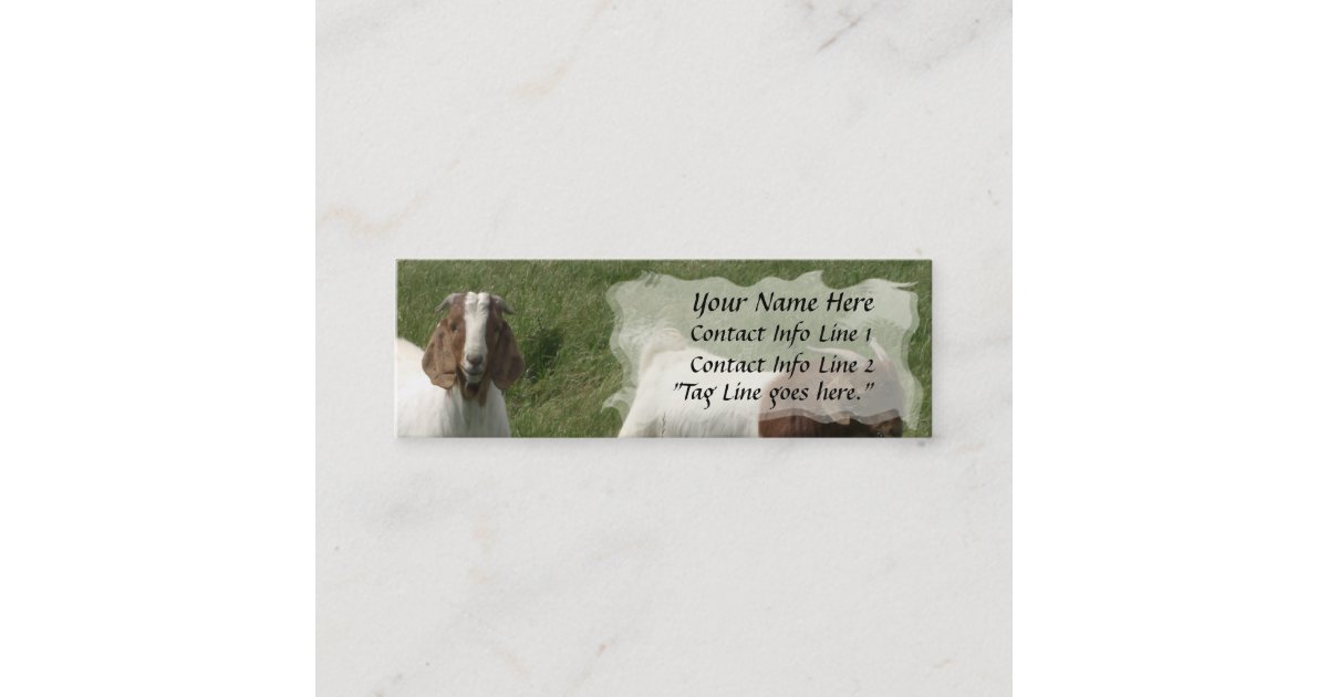 Goats Profile Card | Zazzle