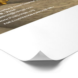 Gobekli Tepe 4 Poster | Zazzle