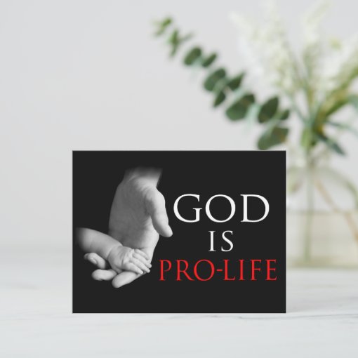 God Is Pro-Life Postcard | Zazzle