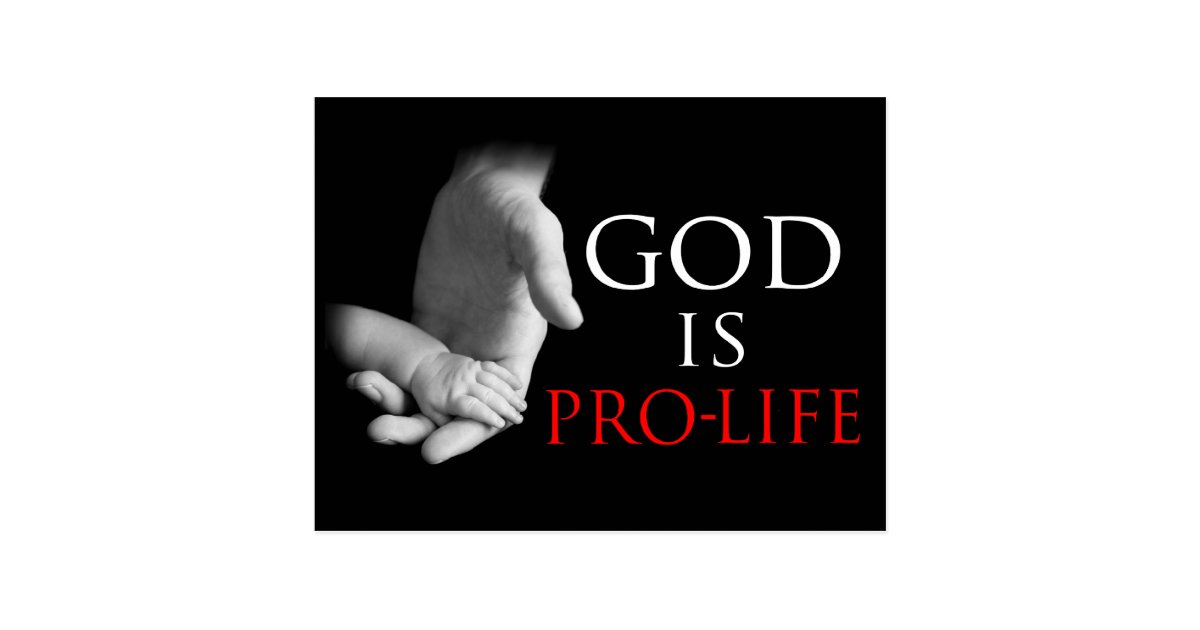God Is Pro-Life Postcard | Zazzle.com