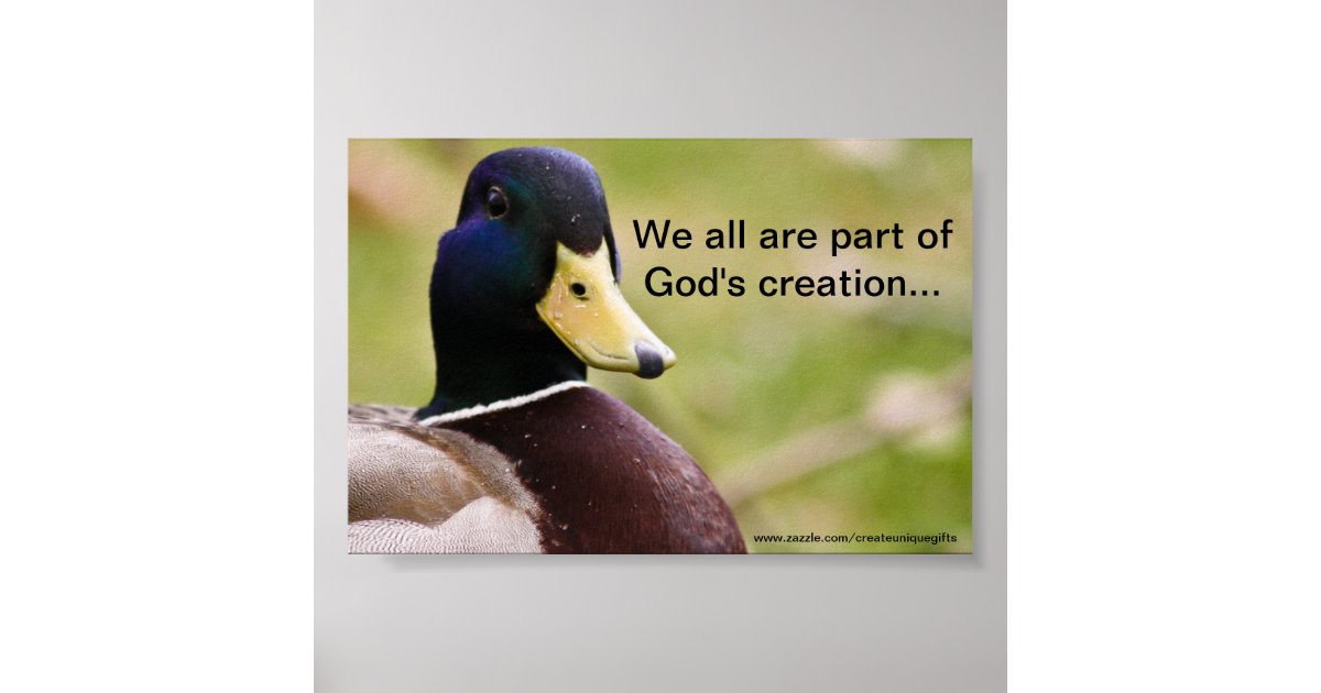 God's Creation Duck Poster | Zazzle