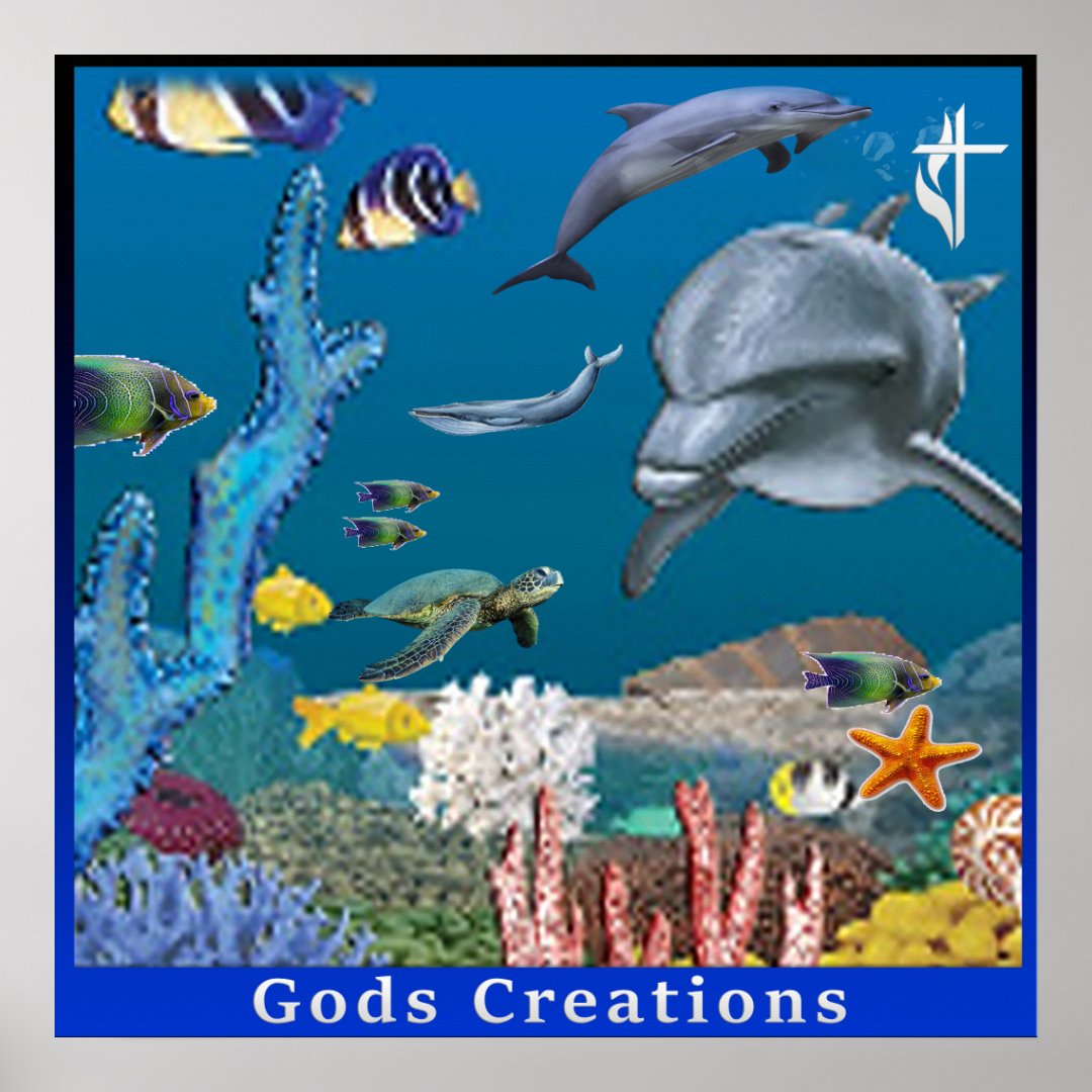 Gods creation poster | Zazzle